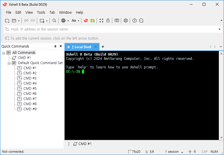 Version 8 Open Beta - NetSarang Website